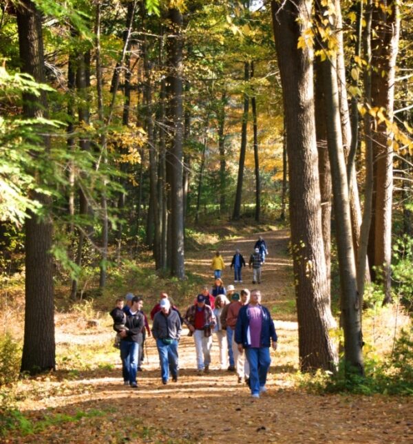 Five Sustainable Forestry Events Fall 2017 | Hull Blog